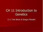 PPT - Chapter 11 Introduction to Genetics PowerPoint Presentation, free ...