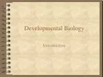 PPT - Developmental Biology PowerPoint Presentation, free download - ID ...