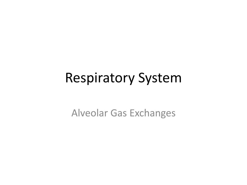 PPT - Respiratory System PowerPoint Presentation, free download - ID ...