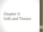 PPT - Chapter 3 - Cells and Tissues Cell Anatomy PowerPoint ...