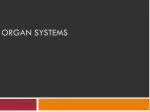 PPT - Organ Systems PowerPoint Presentation, free download - ID:2661326