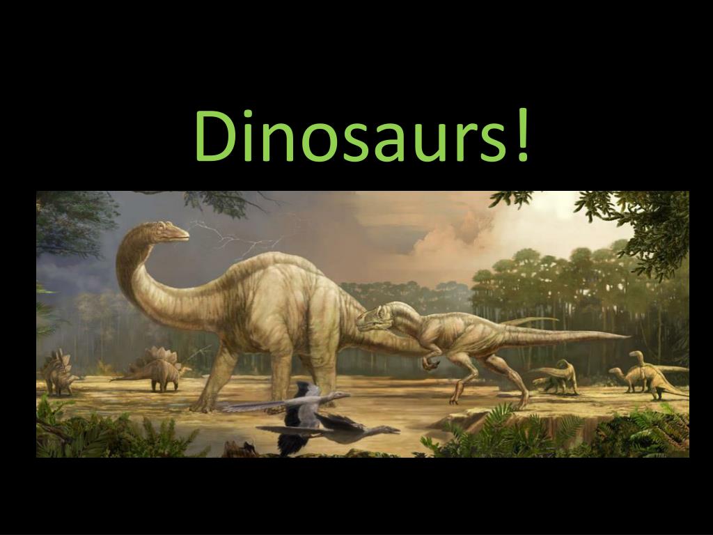PPT - Dinosaurs! PowerPoint Presentation, free download - ID:2928905
