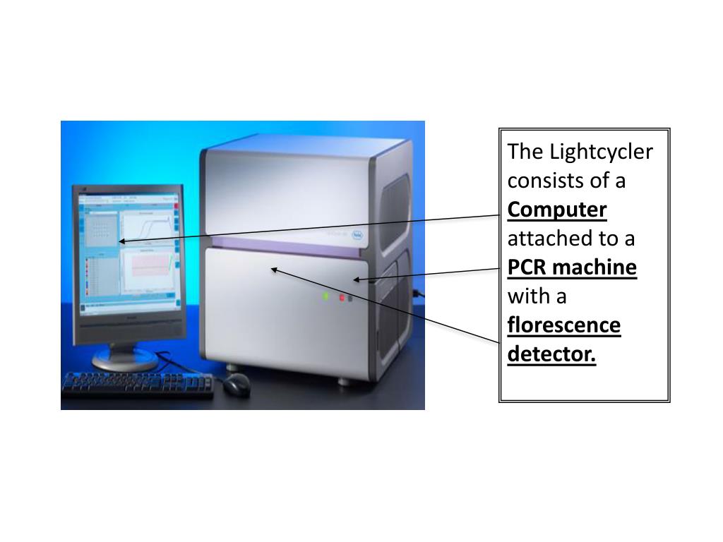 PPT - Blood Typing PowerPoint Presentation, free download - ID:2931025