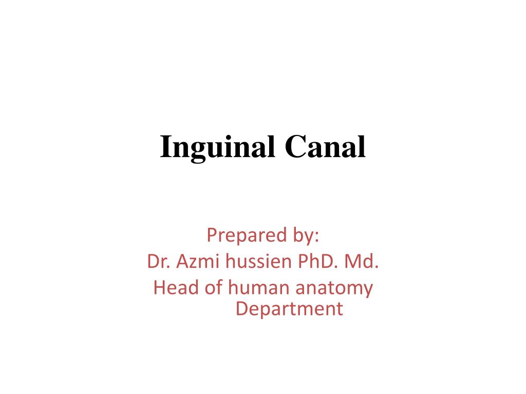 PPT - Inguinal Canal PowerPoint Presentation, free download - ID:2931177