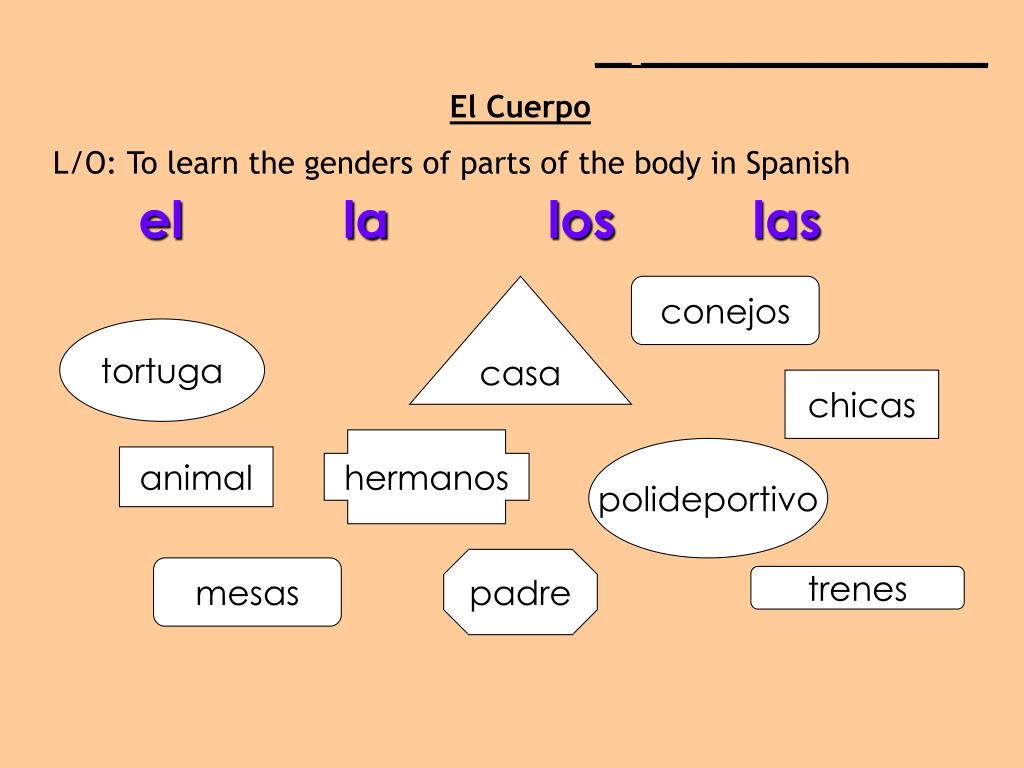 PPT - el la los las PowerPoint Presentation, free download - ID:2932499