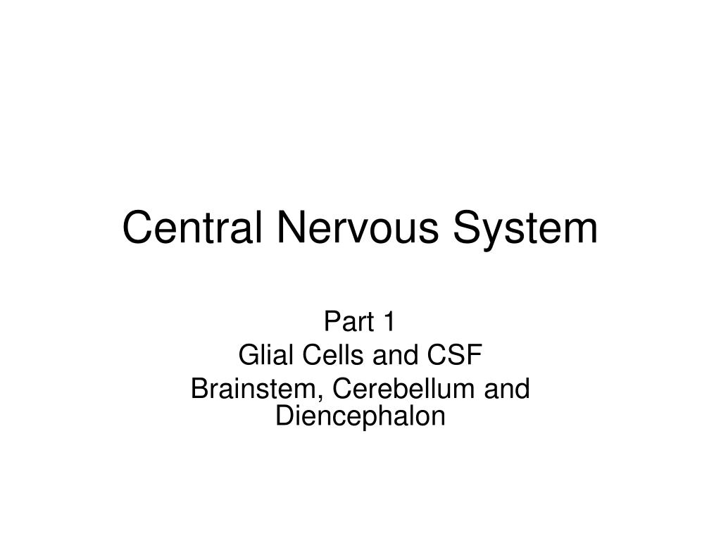 PPT - Central Nervous System PowerPoint Presentation, free download ...