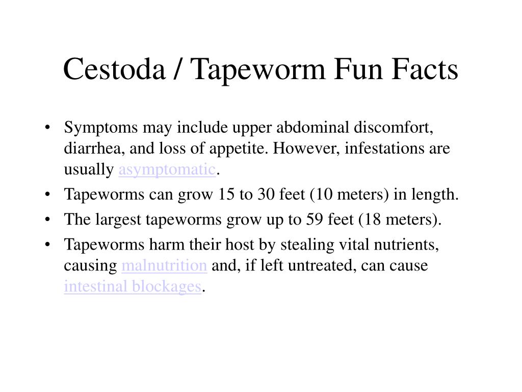 PPT - Cestoda / Tapeworm Fun Facts PowerPoint Presentation, free ...