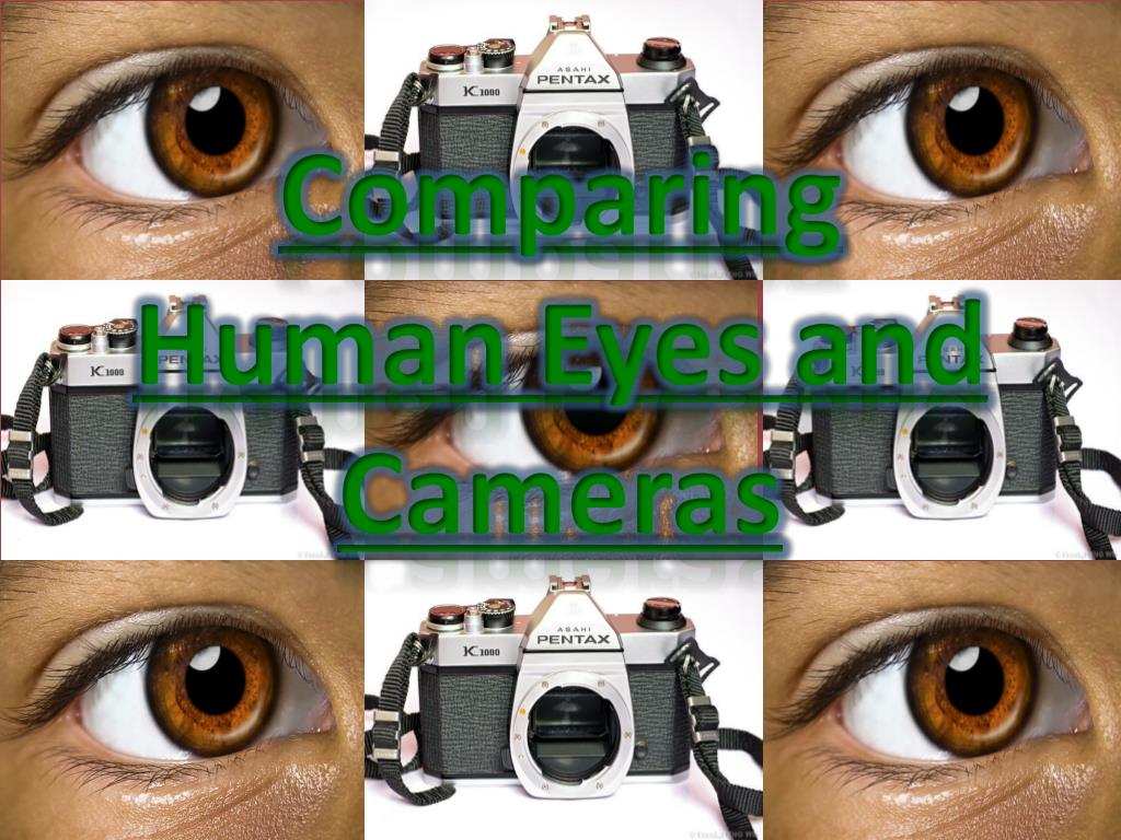 PPT - Comparing Human Eyes and Cameras PowerPoint Presentation, free ...