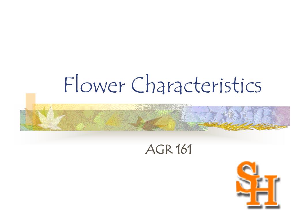 PPT - Flower Characteristics PowerPoint Presentation, free download ...