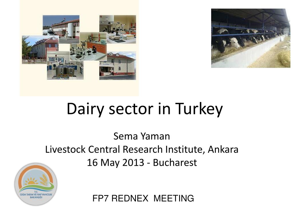 PPT - Dairy sector in Turkey PowerPoint Presentation, free download ...