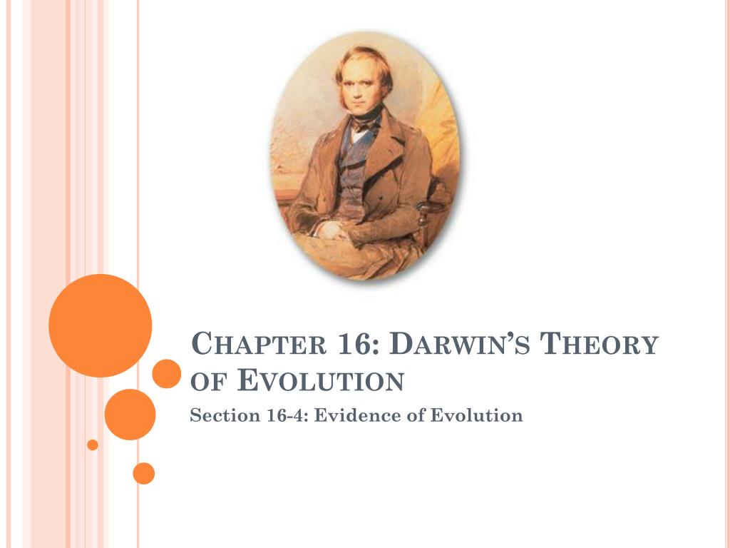 PPT - Chapter 16: Darwin’s Theory of Evolution PowerPoint Presentation ...