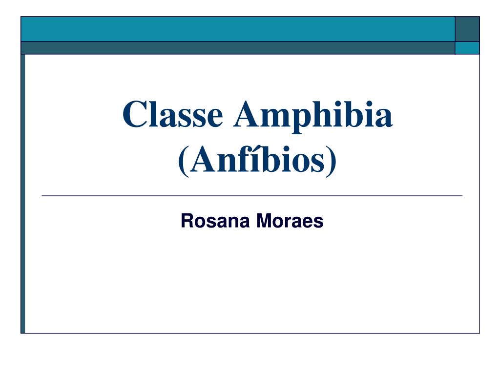PPT - Classe Amphibia (Anfíbios) PowerPoint Presentation, free download ...