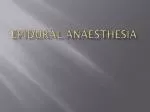 PPT - Epidural Anesthesia PowerPoint Presentation, free download - ID ...