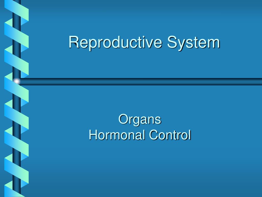 PPT - Reproductive System PowerPoint Presentation, free download - ID ...
