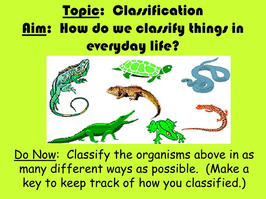 PPT - Topic : Classification Aim : How do we classify things in ...