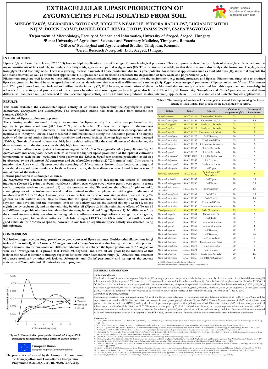 PPT - EXTRACELLULAR LIPASE PRODUCTION OF ZYGOMYCETES FUNGI ISOLATED ...