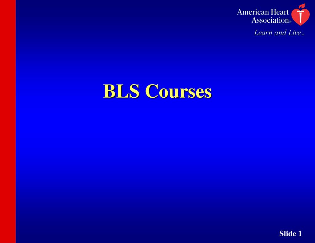 PPT - BLS Courses PowerPoint Presentation, free download - ID:2946072
