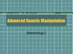 PPT - Genetic Manipulation PowerPoint Presentation, free download - ID ...