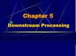PPT - Downstream Processing in Biopharmaceutical Manufacturing ...