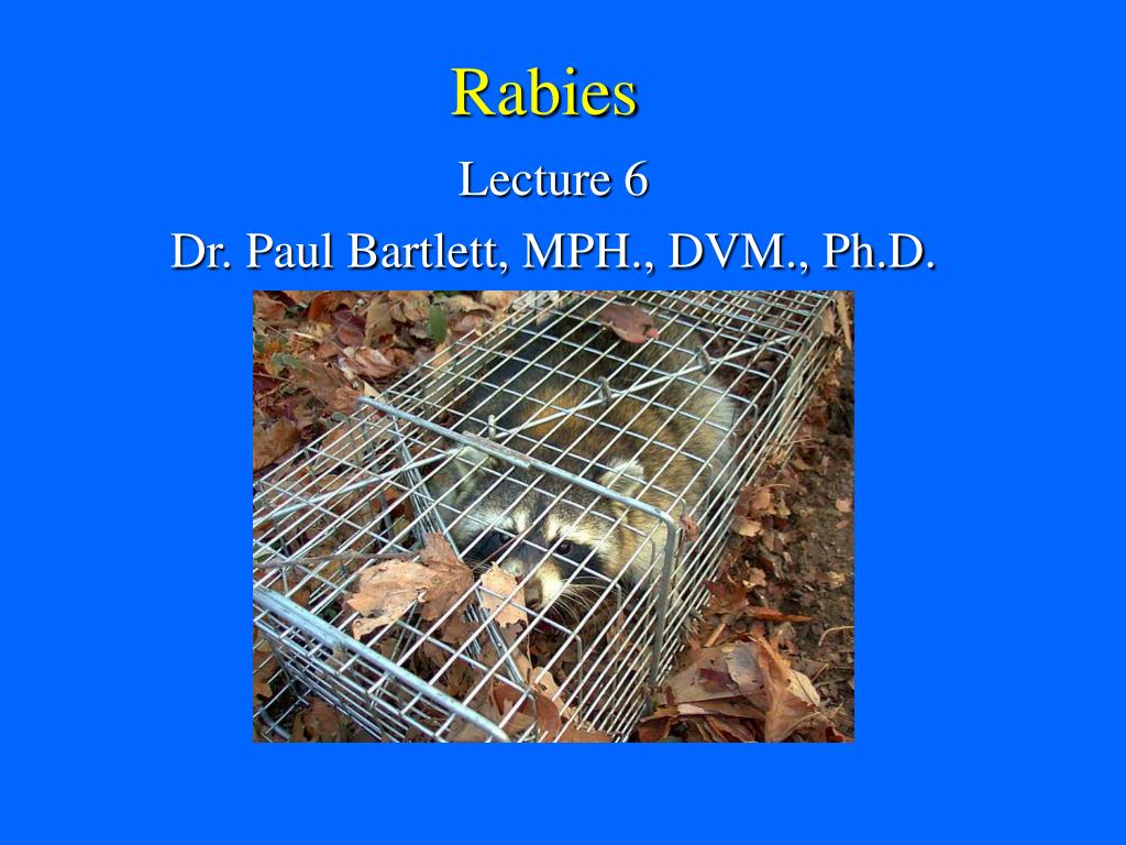 PPT - Rabies PowerPoint Presentation, free download - ID:2951016