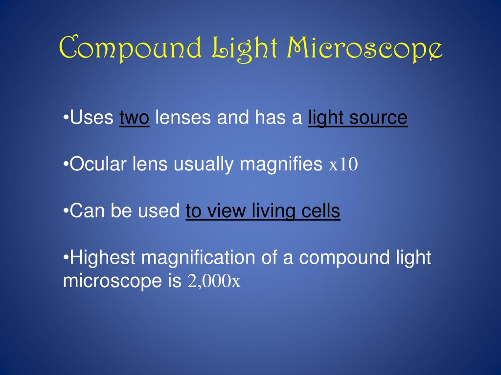 PPT - Compound Light Microscope PowerPoint Presentation, free download ...