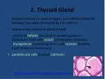 PPT - Gland? 100X PowerPoint Presentation, free download - ID:580108
