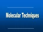 PPT - Molecular Techniques PowerPoint Presentation, free download - ID ...