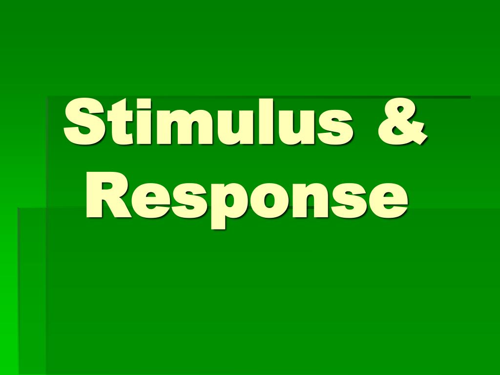 PPT - Stimulus & Response PowerPoint Presentation, free download - ID ...