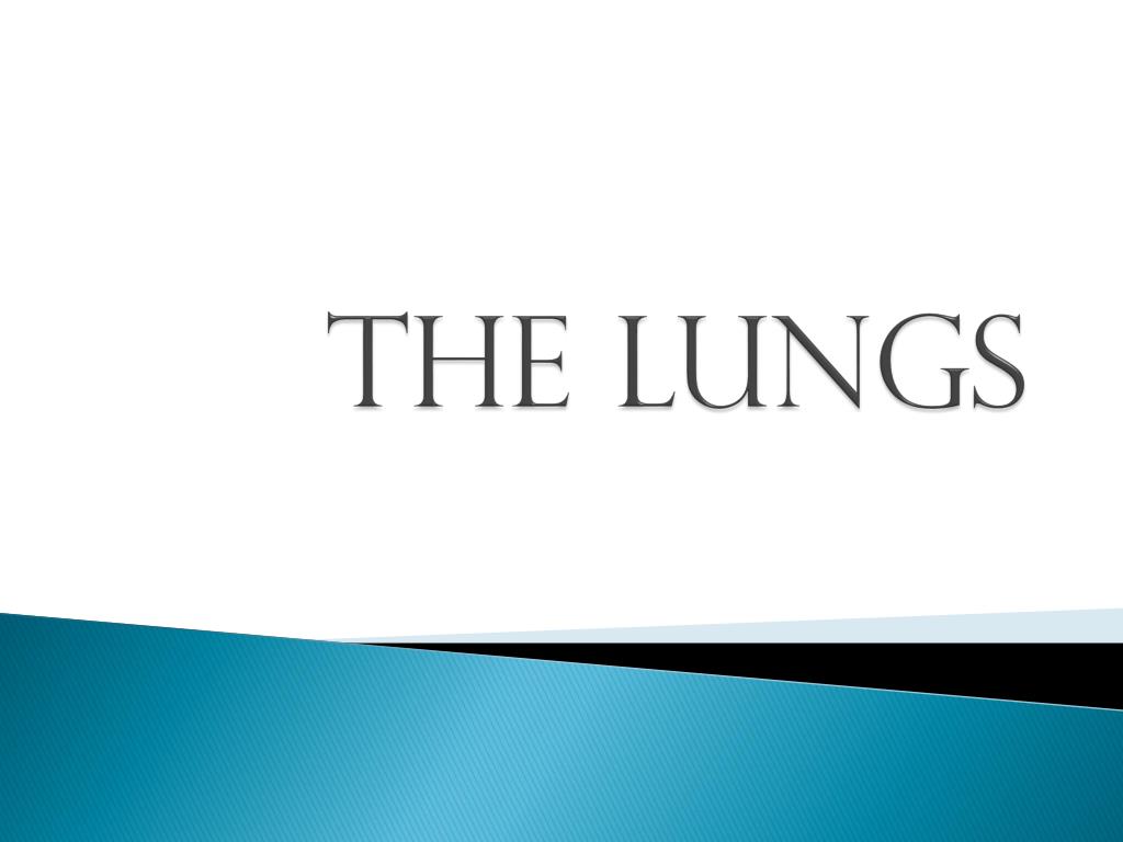 PPT - The Lungs PowerPoint Presentation, free download - ID:2956482