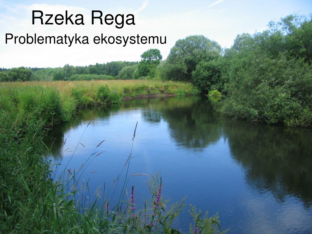 PPT - Rzeka Rega PowerPoint Presentation, free download - ID:2958855