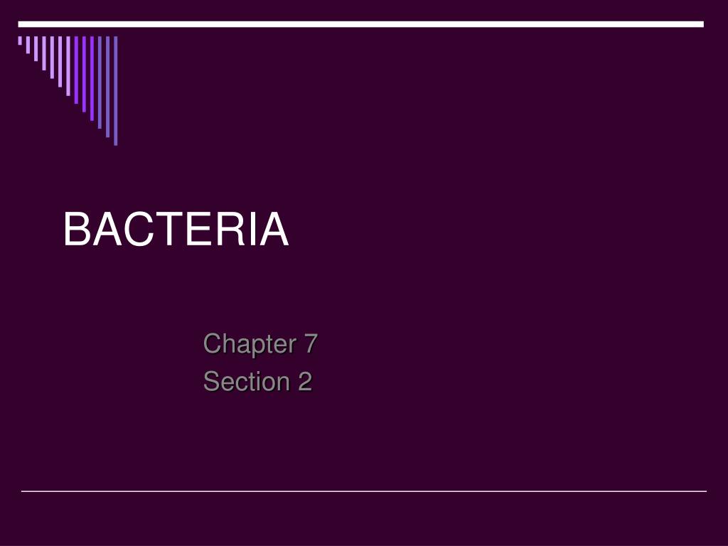 PPT - BACTERIA PowerPoint Presentation, free download - ID:2959508