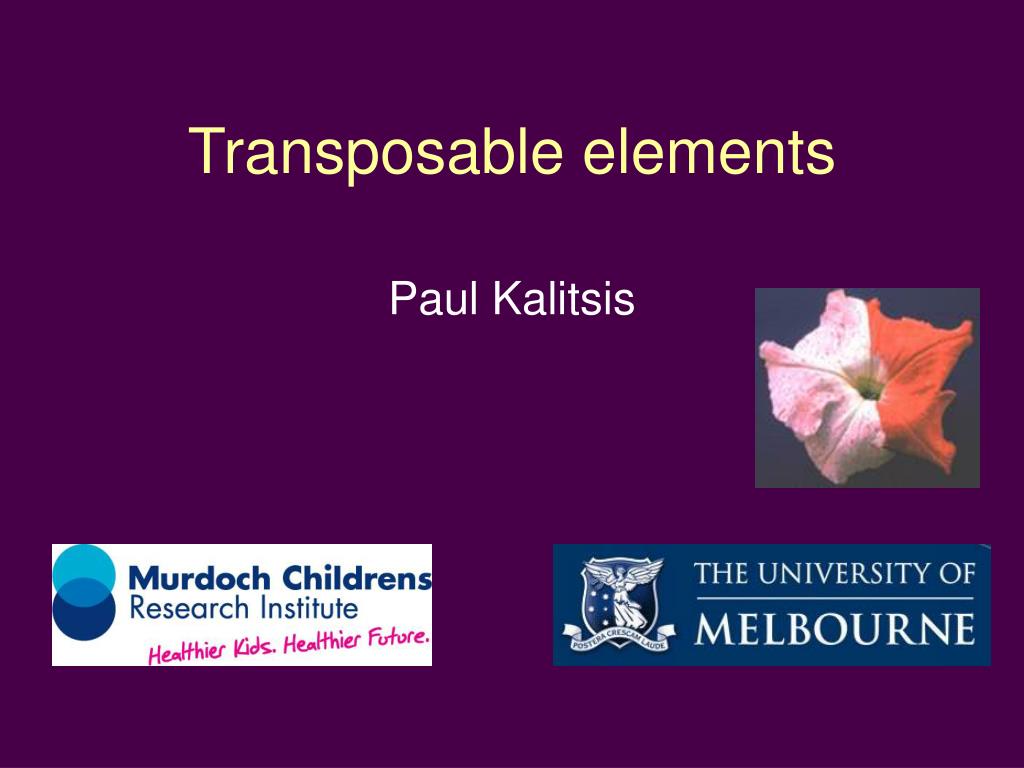 PPT - Transposable elements PowerPoint Presentation, free download - ID ...