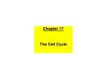 PPT - Quality Control Circle / Cycle (QCC) PowerPoint Presentation ...