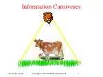 PPT - Carnivores PowerPoint Presentation, free download - ID:4827860