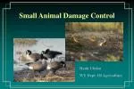 PPT - The Concept of Damage Control Surgery PowerPoint Presentation ...