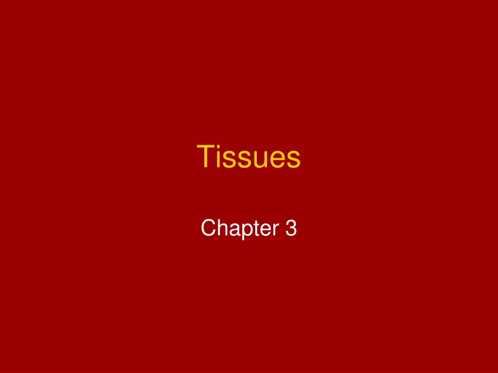 PPT - Tissues PowerPoint Presentation, free download - ID:2963582