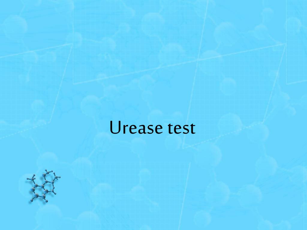 PPT - Urease test PowerPoint Presentation, free download - ID:2964538