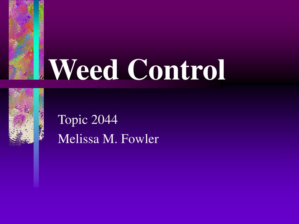 PPT - Weed Control PowerPoint Presentation, free download - ID:2964754