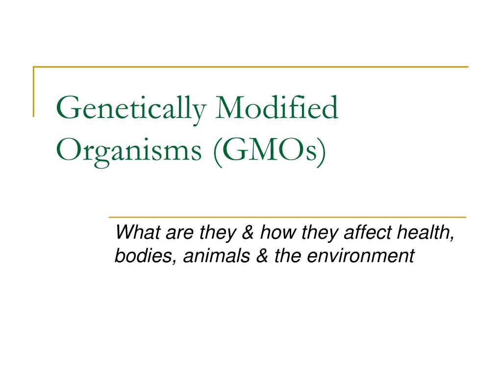 PPT - Genetically Modified Organisms (GMOs) PowerPoint Presentation ...
