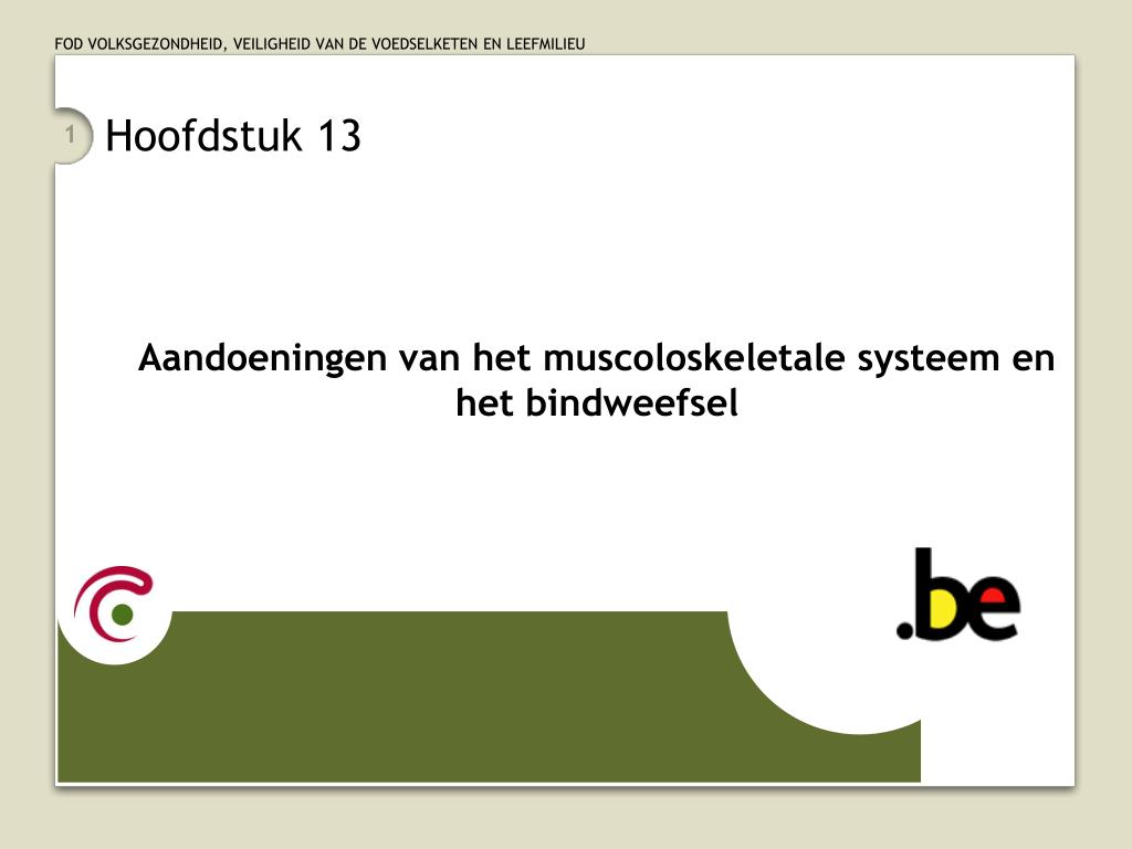 PPT - Hoofdstuk 1 3 PowerPoint Presentation, free download - ID:2965959