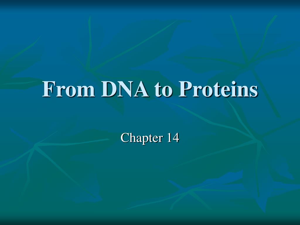 PPT - From DNA to Proteins PowerPoint Presentation, free download - ID ...