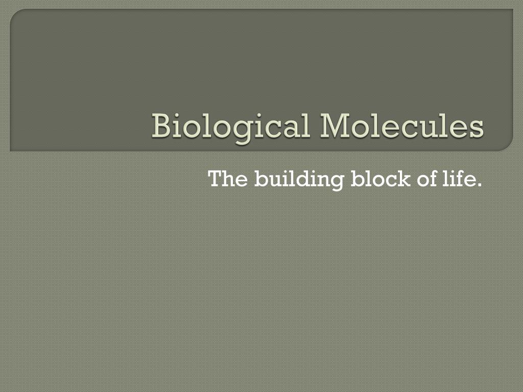 PPT - Biological Molecules PowerPoint Presentation, free download - ID ...