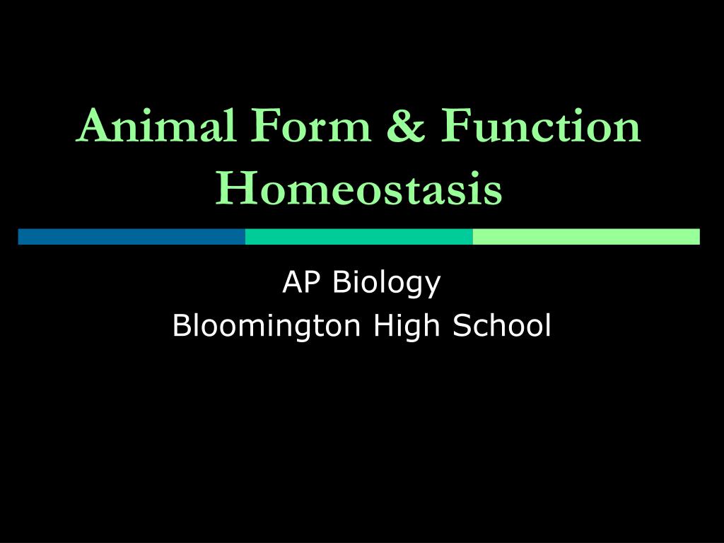 PPT - Animal Form & Function Homeostasis PowerPoint Presentation - ID ...