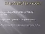 PPT - Helicobacter pylori PowerPoint Presentation, free download - ID ...