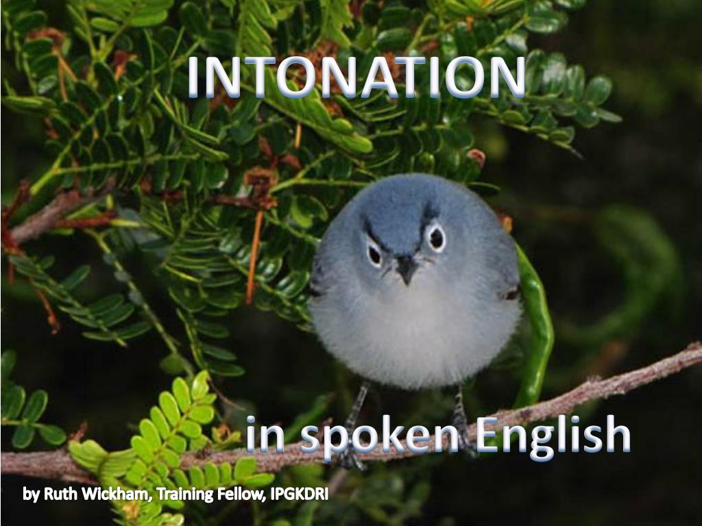 PPT - INTONATION PowerPoint Presentation, free download - ID:2971654
