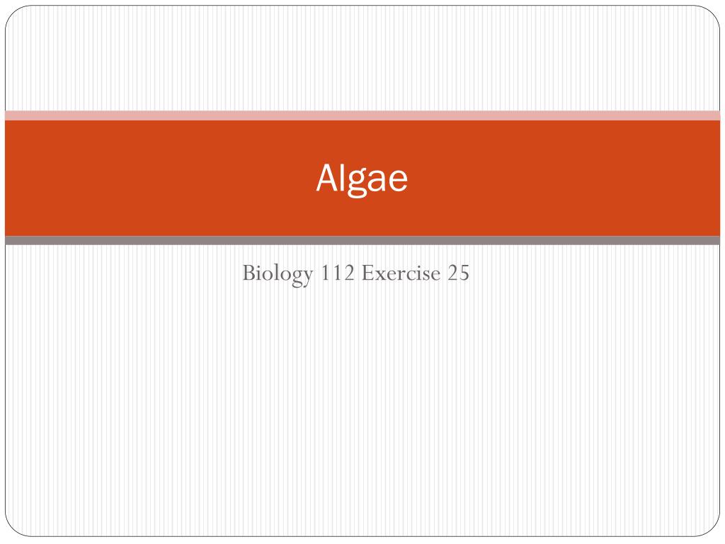 PPT - Algae PowerPoint Presentation, free download - ID:2971676
