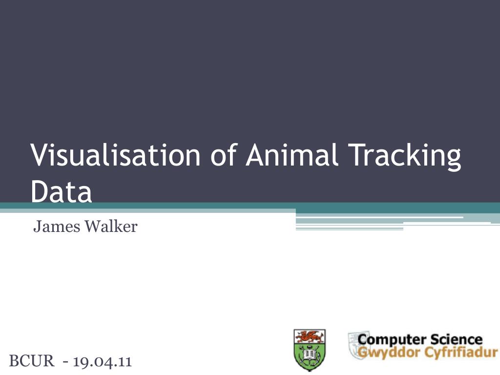 PPT - Visualisation of Animal Tracking Data PowerPoint Presentation ...