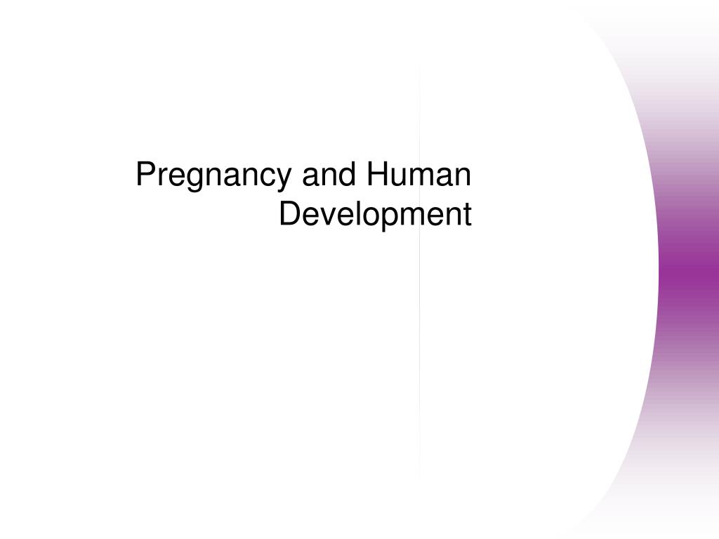 PPT - Pregnancy and Human Development PowerPoint Presentation, free ...