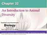 PPT - Chapter 32 PowerPoint Presentation, free download - ID:5687744
