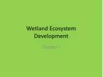 PPT - Wetland Ecosystem Services Protocol PowerPoint Presentation, free ...